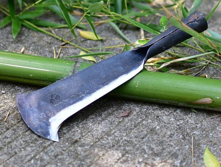 10+ Types Of Machete: Household Knives And Weapons. The Best Article