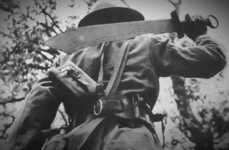 10+ Types Of Machete: Household Knives And Weapons. The Best Article