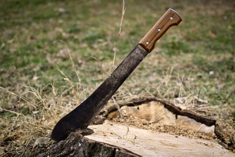10+ Types Of Machete: Household Knives And Weapons. The Best Article